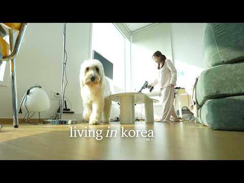 Living in Korea | apartment cleaning, bike around the best spring spots, my kpop makeover