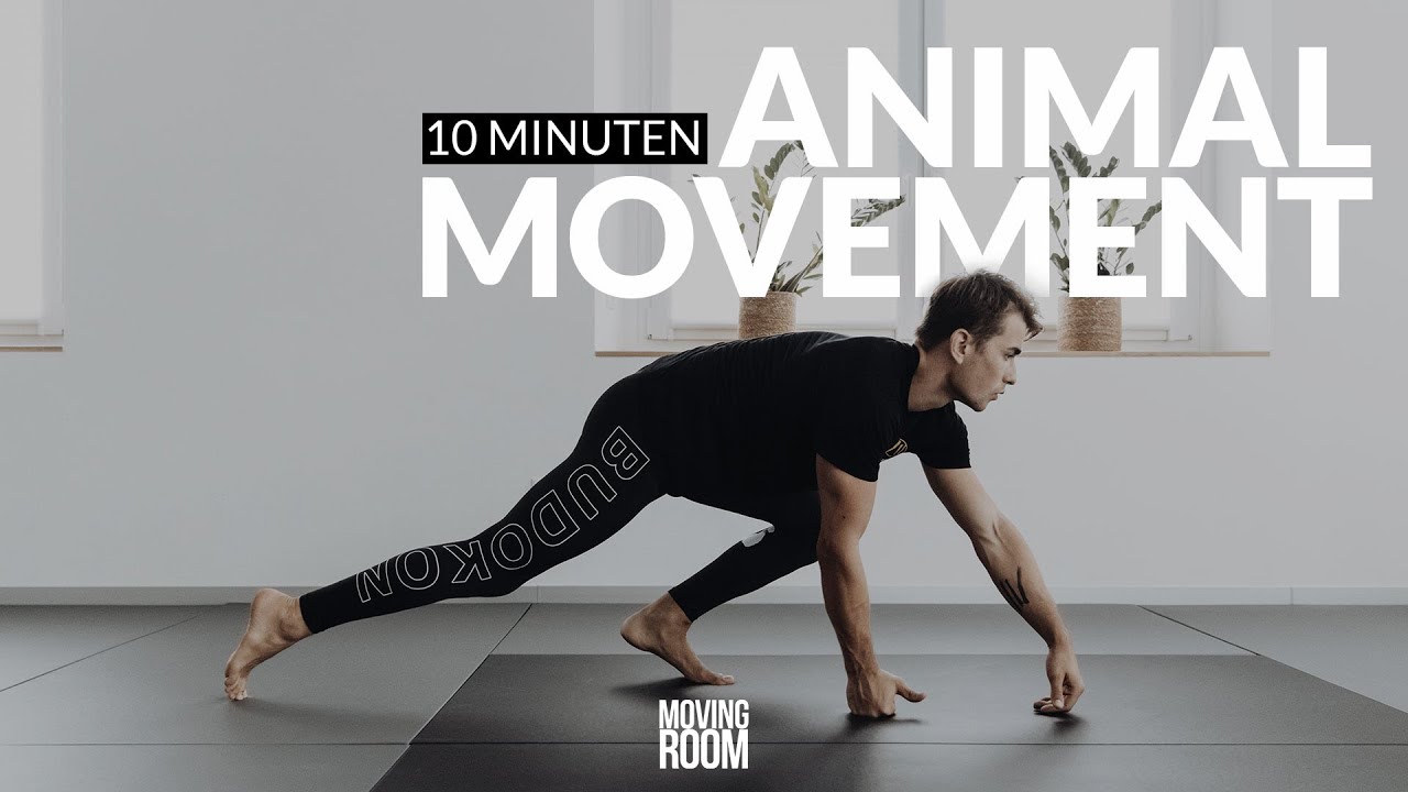 Animal Flow | 10 Minuten Budokon Animal Locomotion | Verbessere deine ...