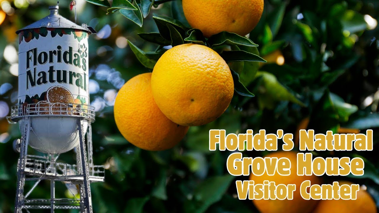 How Florida's Natural Juice is Made | Grove House Visitor Center Tour ...