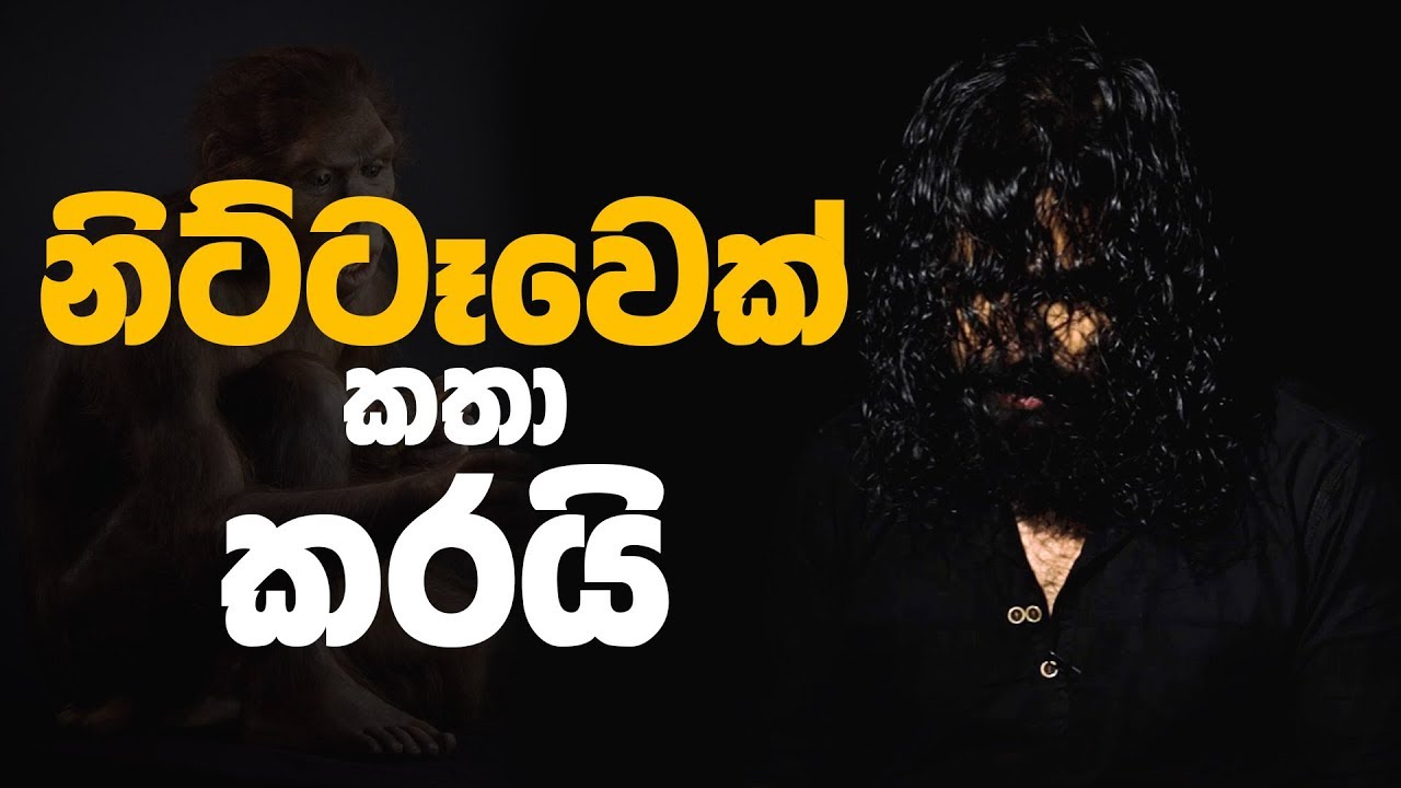 නිට්ටෑවෙක් කතා කරයි | Shenal Talks! - YouTube