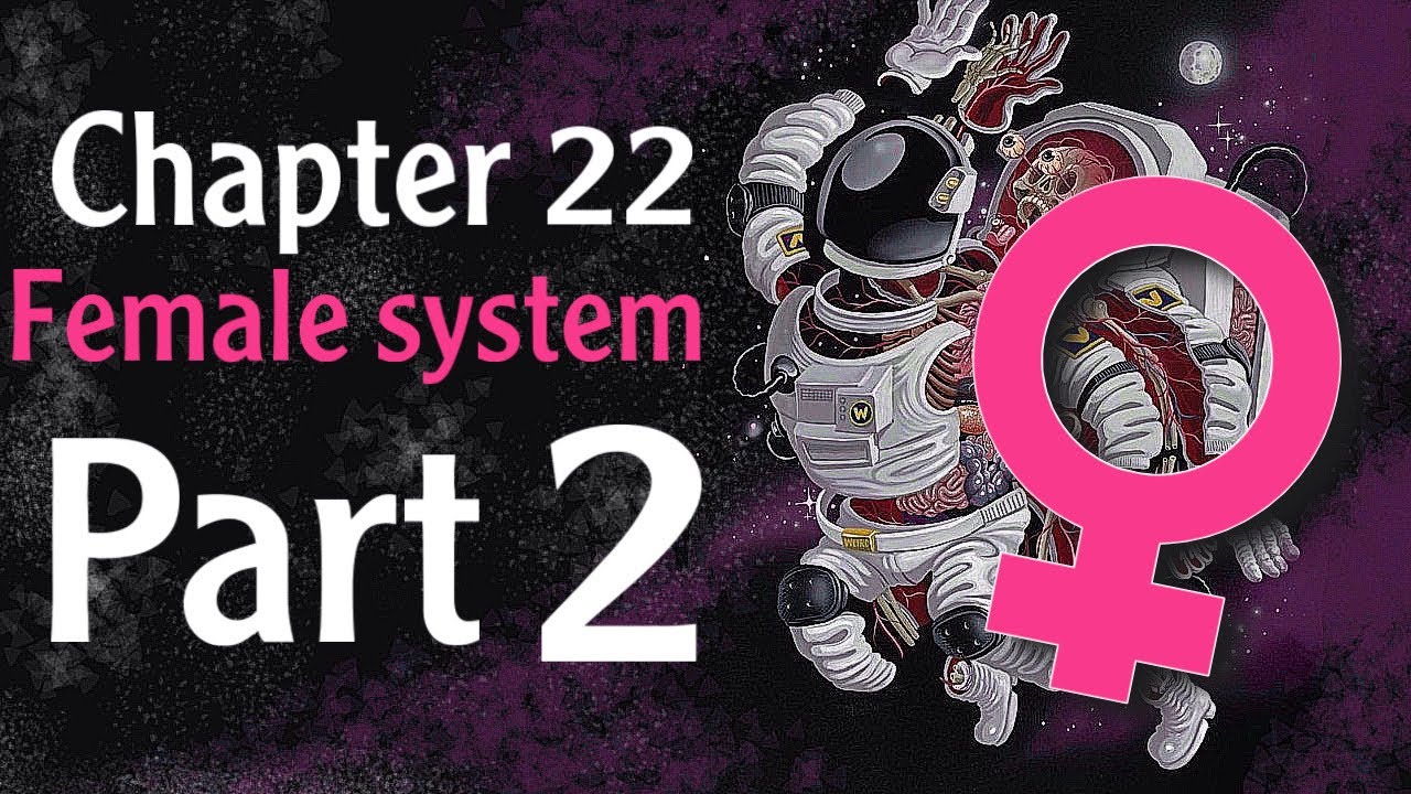 Physiology Chapter 22 Female reproductive system part 2 “Menopause ...