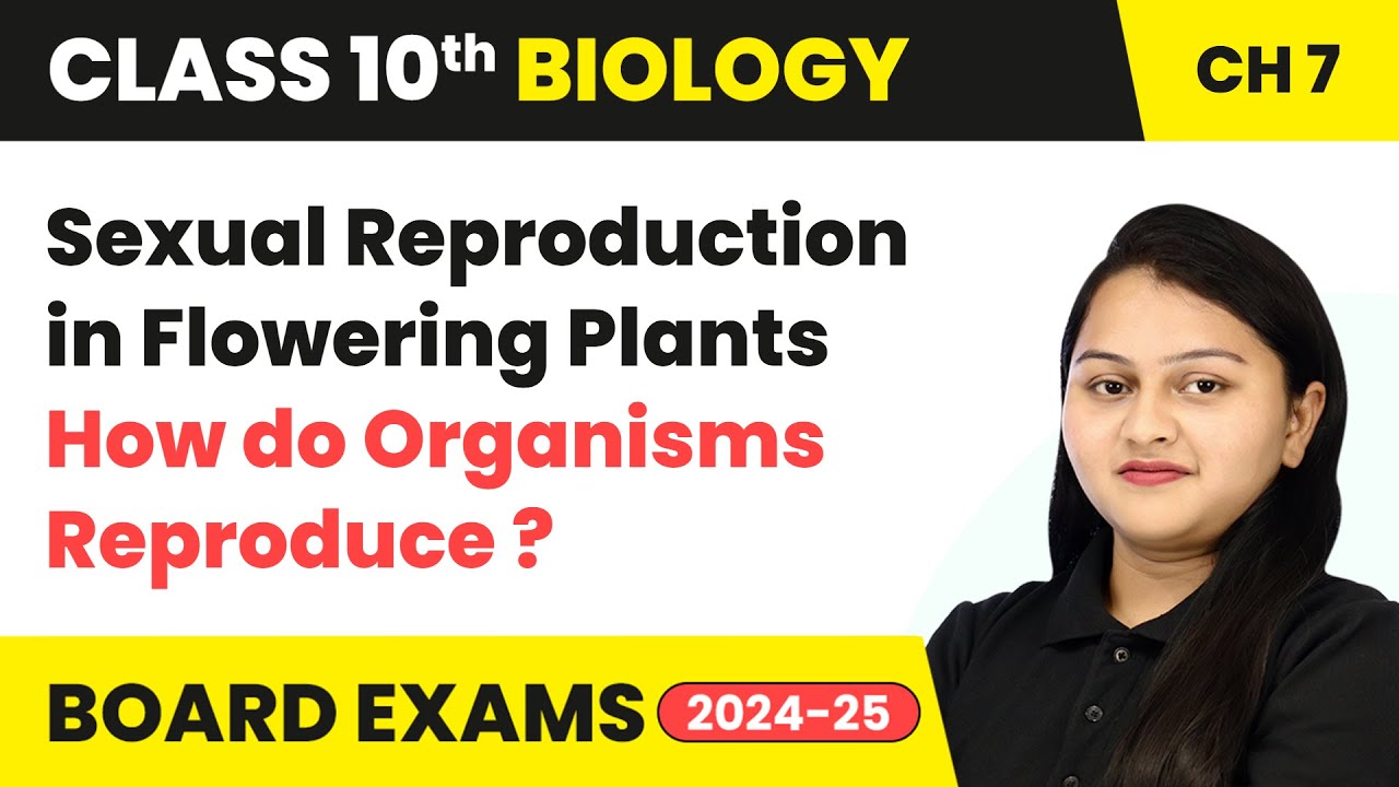 Sexual Reproduction in Flowering Plants - How do Organisms Reproduce ...