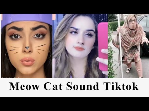 Meow Cat Sound music New Tiktok Trend Video Meow tiktok Videos | Tiktok ...