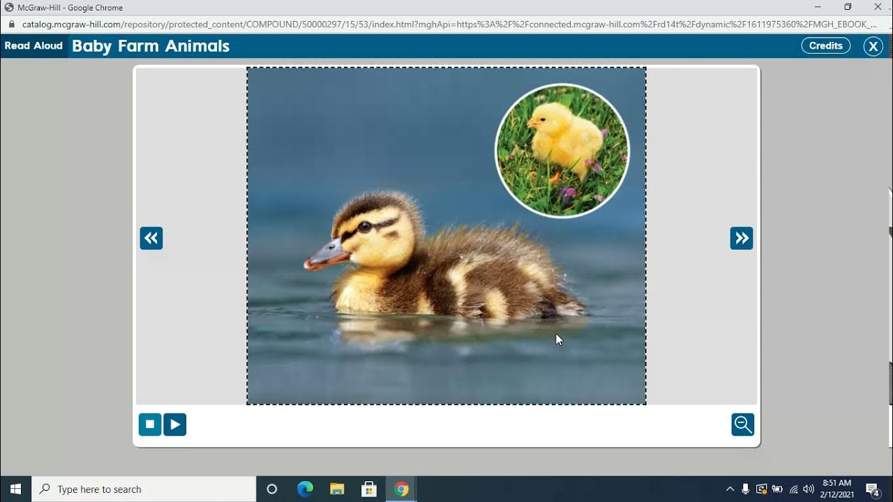 Wonders - Unit 7 Week 1 - Baby Farm Animals - YouTube