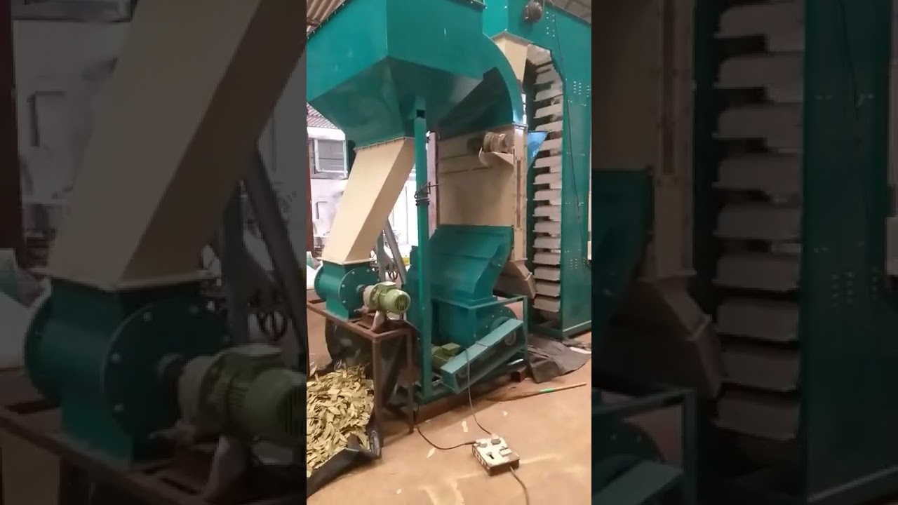 bay leaves cleaning machine - YouTube