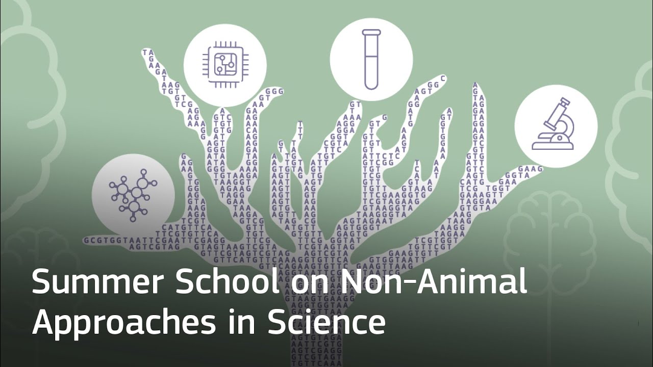 Summer School on Non-Animal Approaches in Science - YouTube