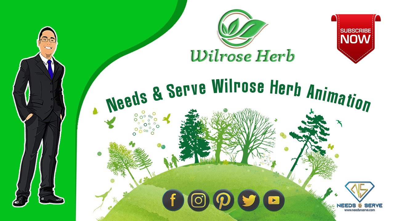 Needs & Serve Wilrose Herb Animation - 5 - YouTube