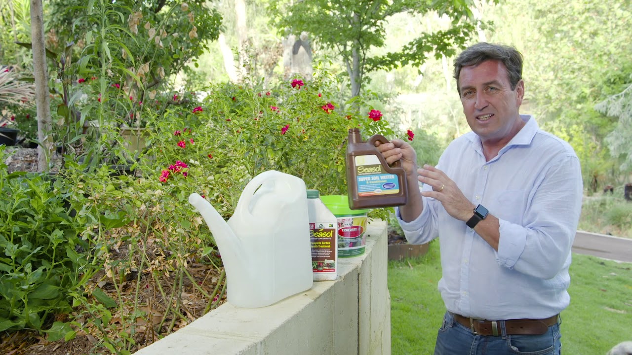 The Garden Gurus - Bring Your Garden Back to Life - YouTube