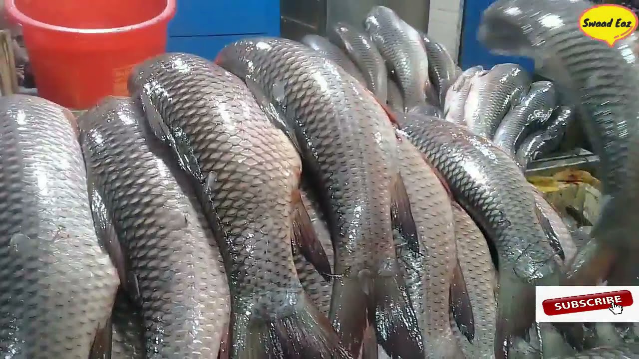 lahori fish# rahu fish cutting and Boneless in Pakistan - YouTube