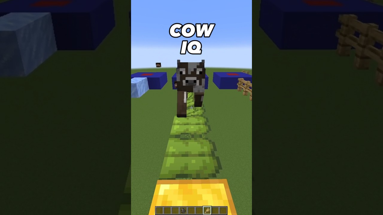 Minecraft Cow IQ #shorts #minecraft #memes - YouTube