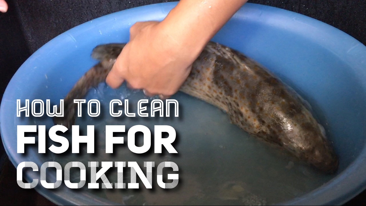 Cooking 101: How to Clean Fish for Cooking - YouTube