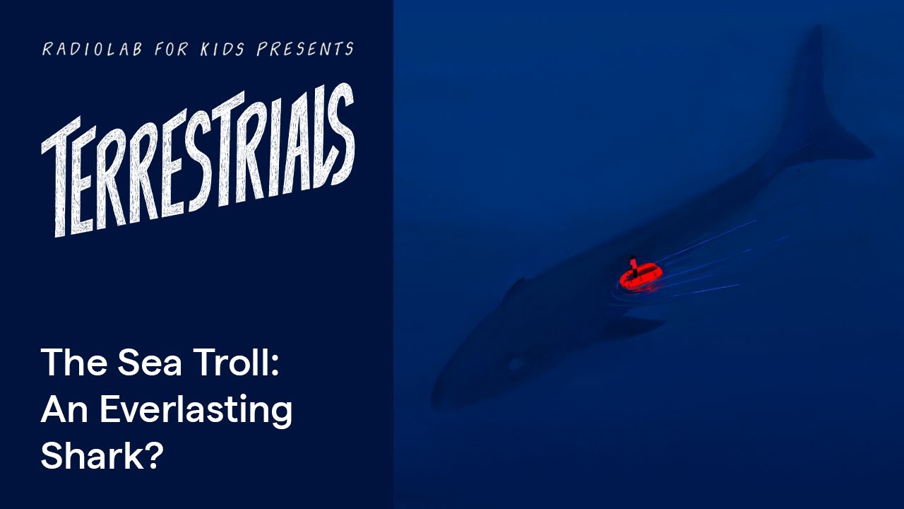 The Sea Troll: An Everlasting Shark? | Terrestrials | Radiolab for Kids ...