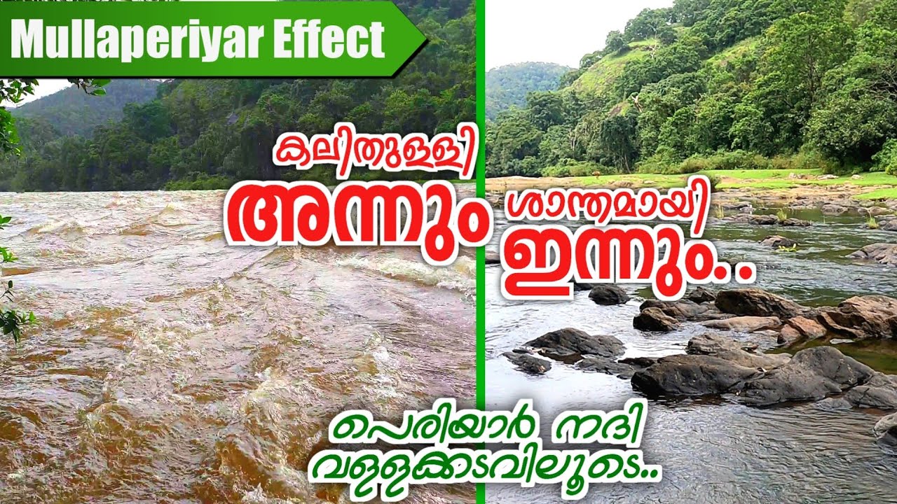 ഉഗ്രരൂപിണിയായും😡 സൗന്ദര്യവതിയായും🥰 | പെരിയാർ നദി വള്ളക്കടവിലൂടെ.. # ...