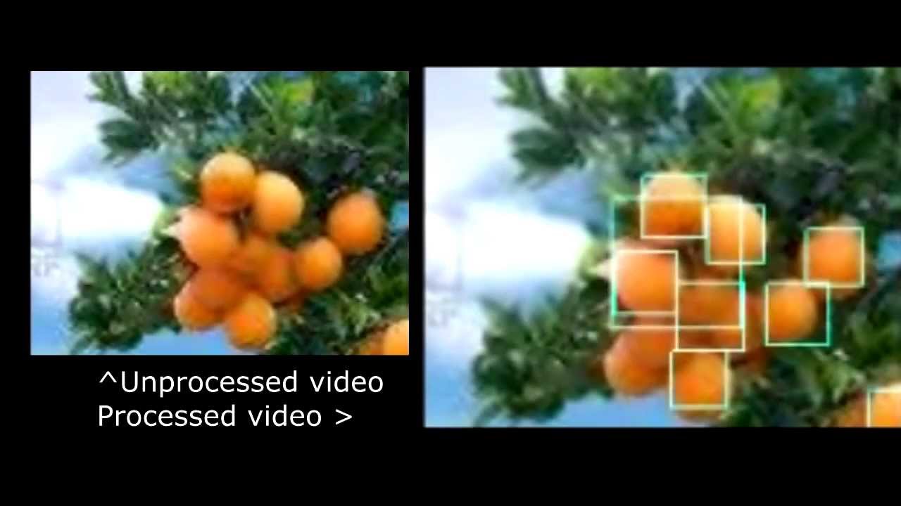 i-Fruit Detector sample video - YouTube