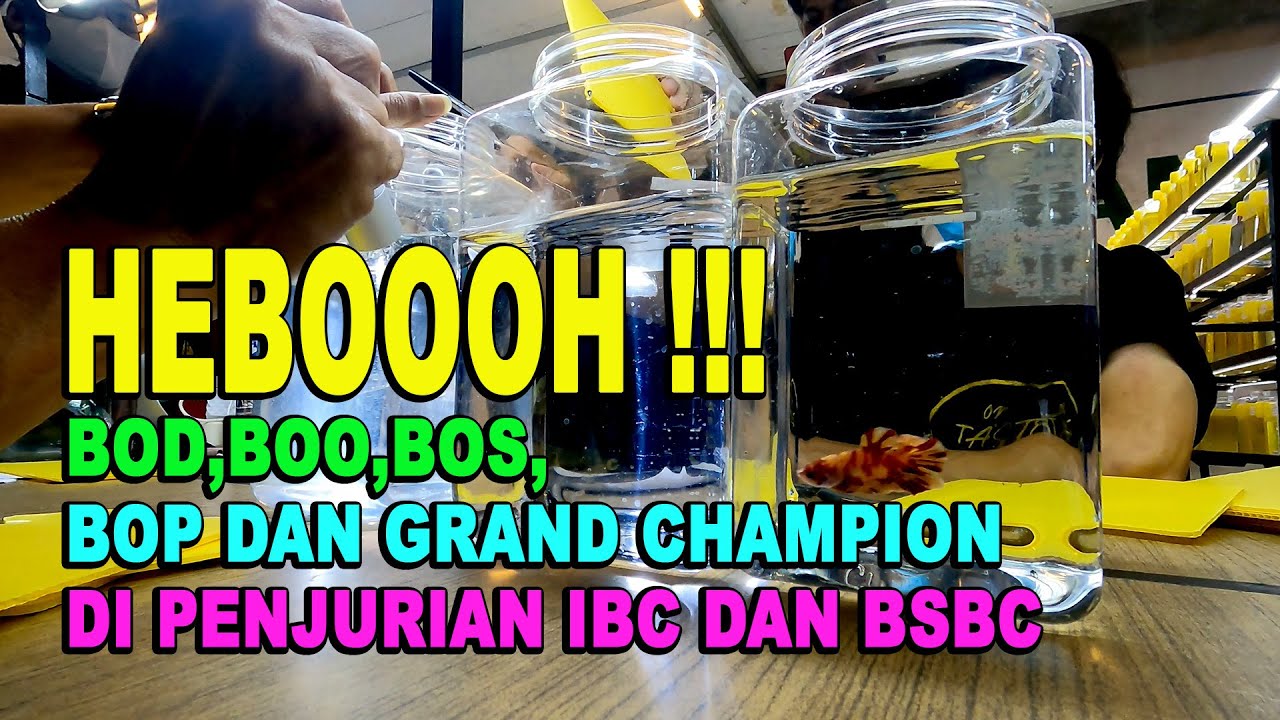 HEBOOOH PENJURIAN BOD BOO BOS BOP DAN GC - YouTube