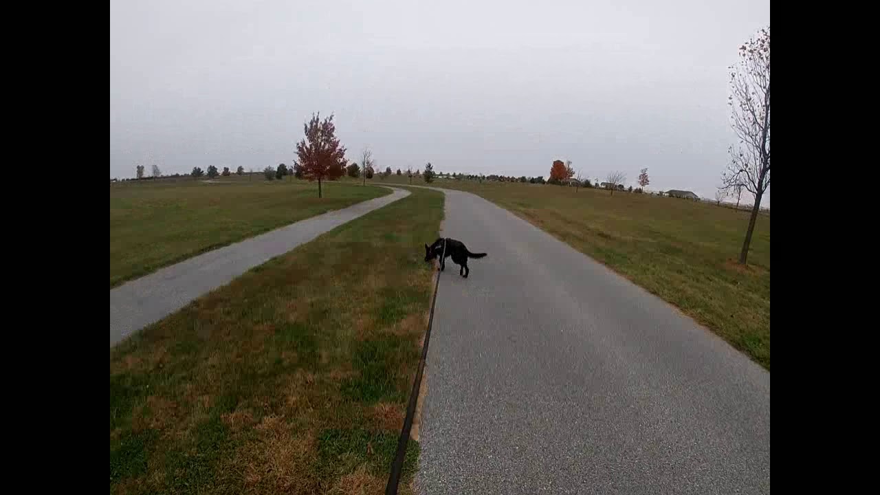 Hero Contact Scent 10 26 2019 - YouTube