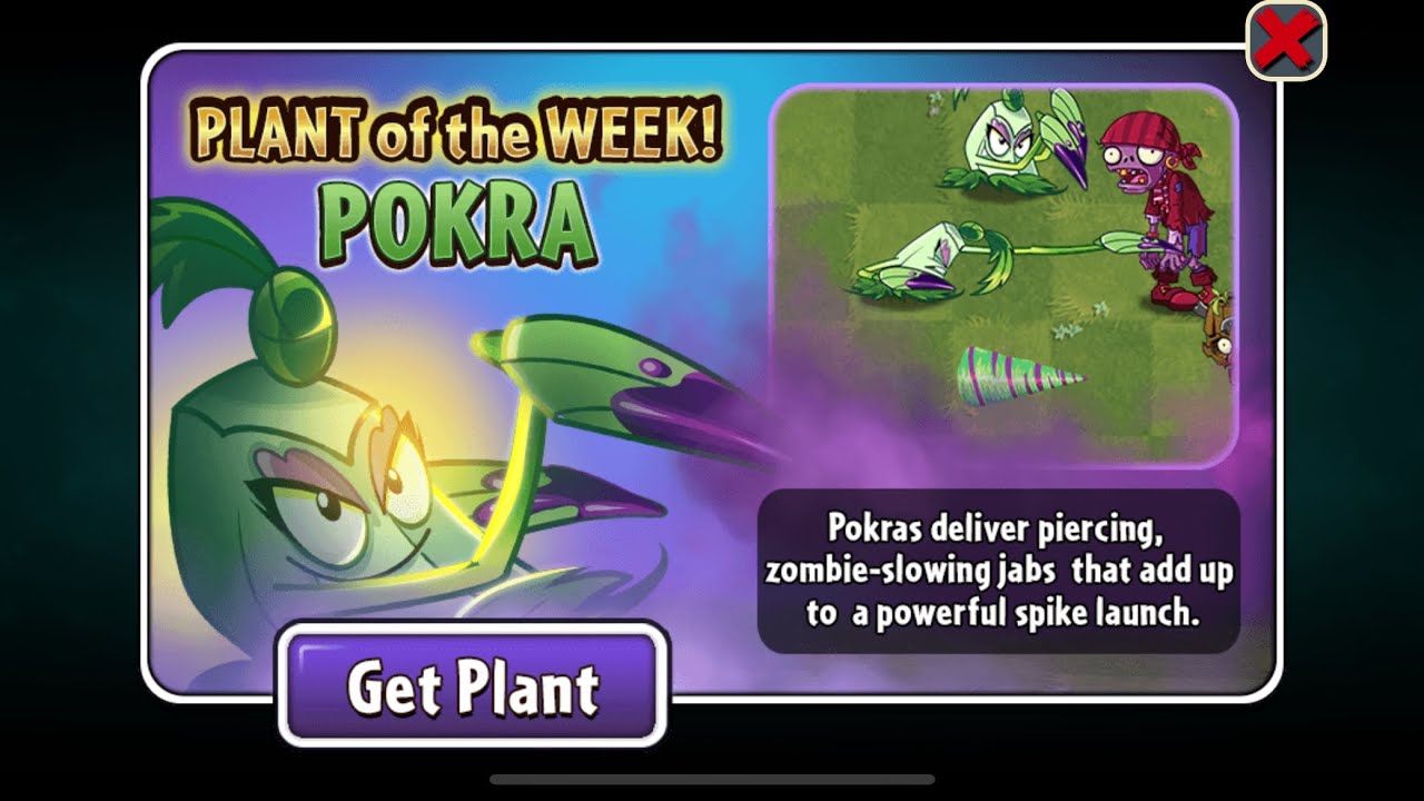 Pokra Plant of the Week Thymed Event - YouTube
