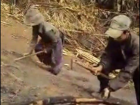 puag thaum ub hmoob lub neej - YouTube