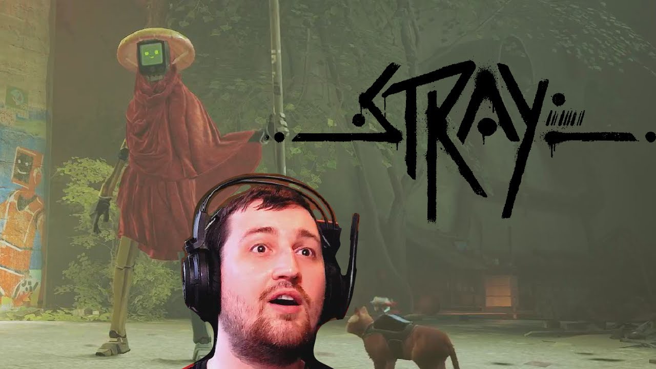 Stray with robots?? - YouTube