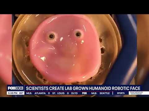 😯 Ammon/Japanese Scientists Create Living Robot Skin With Human Cells - YouTube