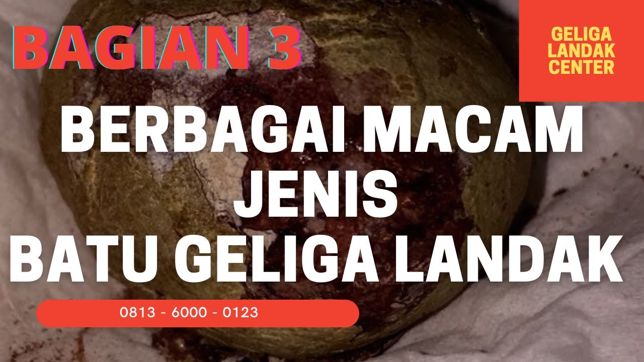 Eps 3 BERBAGAI MACAM JENIS BATU GELIGA LANDAK | PORCUPINE BEZOAR ...