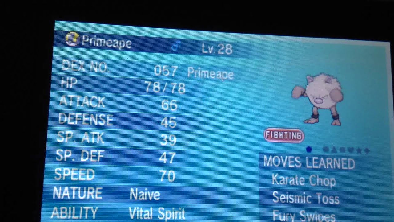 What level does primeape evolves - YouTube