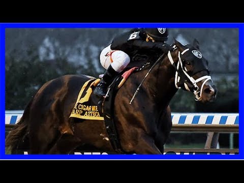 Horse racing news and results - espn - YouTube