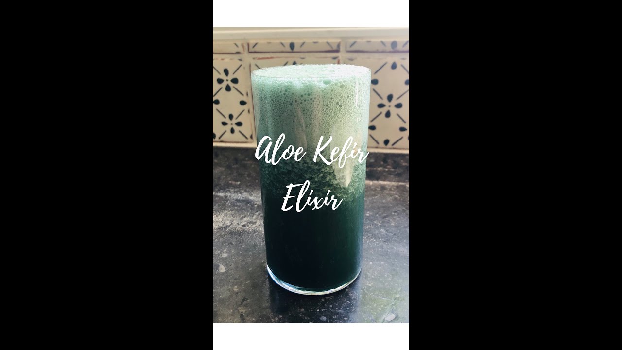 Trishie's Aloe Kefir Elixir - Dish With Trish - YouTube