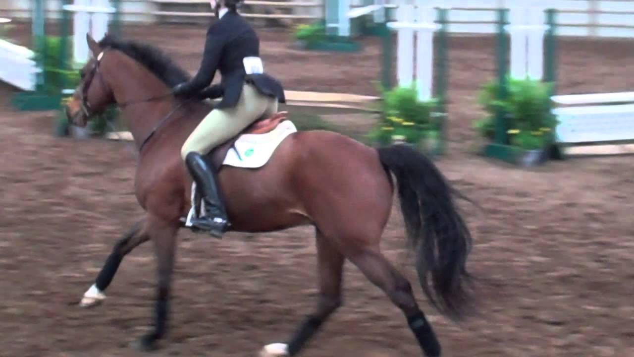 Anna Carmichael & Mydis - Team Novice Fences - Zone IV Finals - April 6 ...