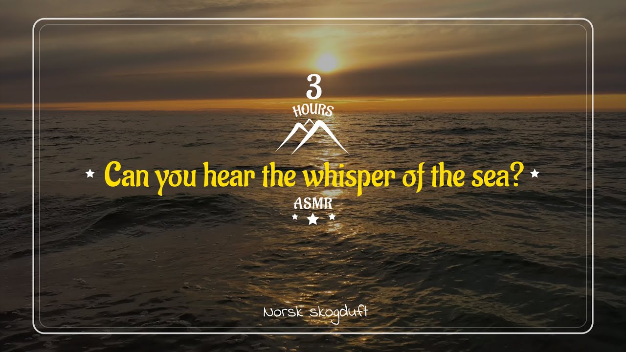 whisper of the sea | Sound of waves | Relaxation, Sleep, Focus ...