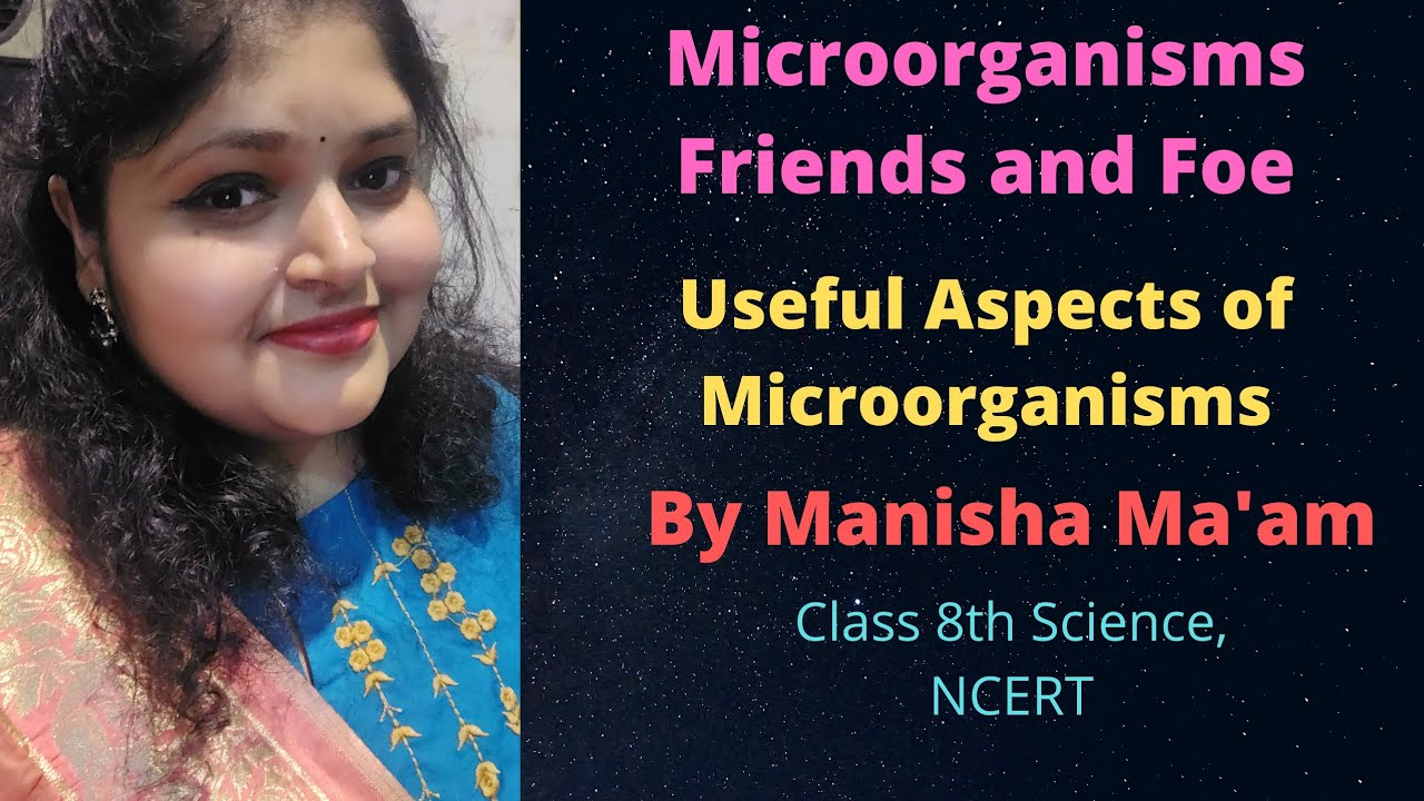 Useful Aspects Of Microorganisms,Class 8 Science,By Manisha ma'am,NCERT ...