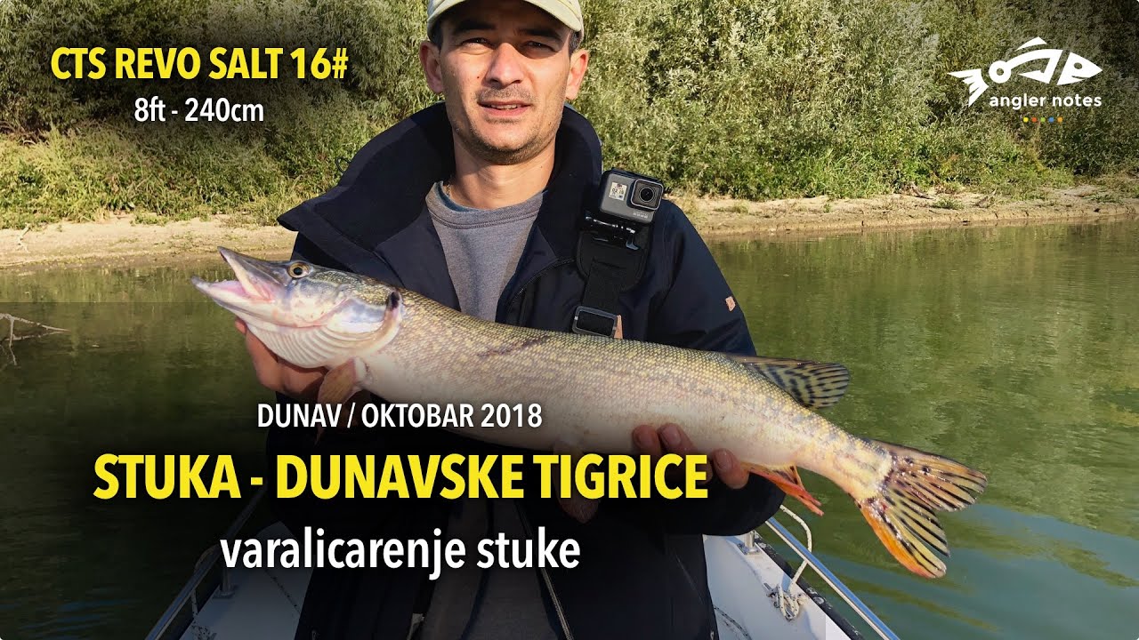 Stuka - Dunavske Tigrice - Pecanje Stuke na Varalice / Pike Spinning on ...