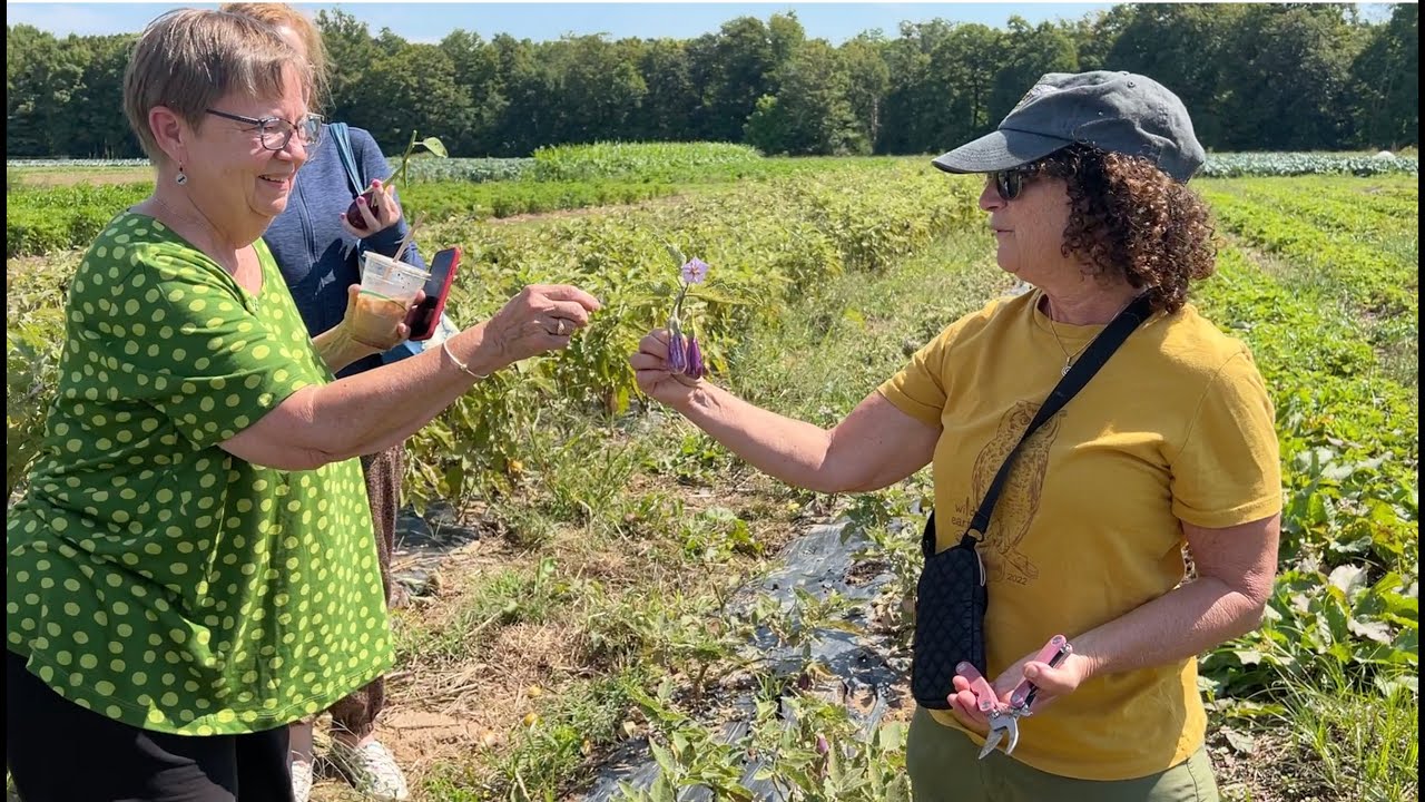Field Trip to Local Vegetable Farm - YouTube