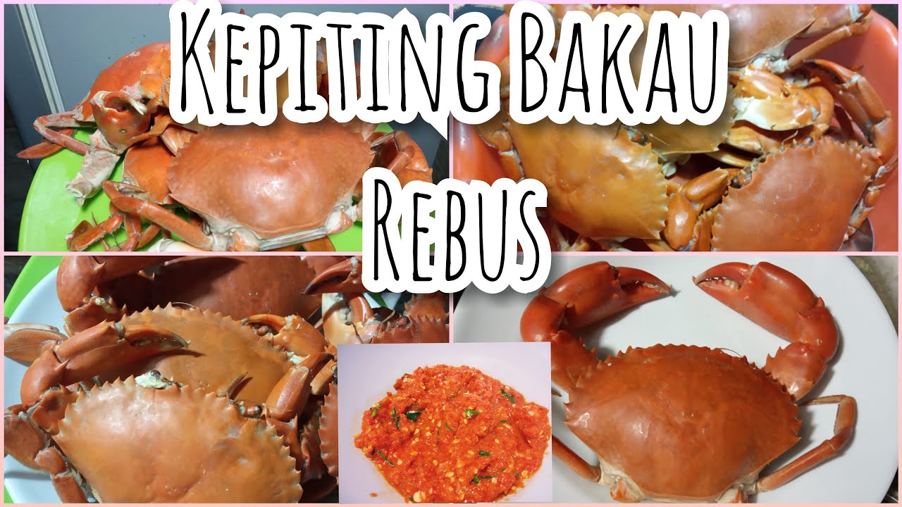 Cara Sederhana Rebus Kepiting - YouTube