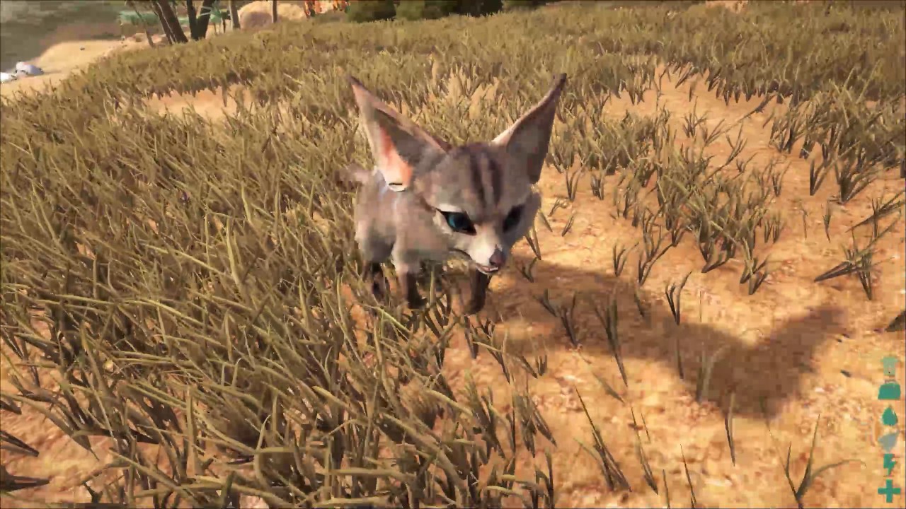 Awww, How cute! (ARK) - YouTube