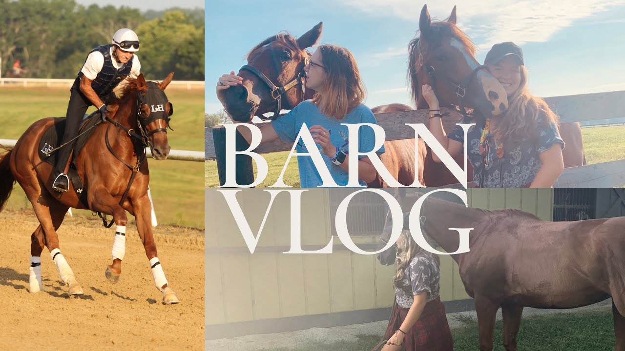 BARN VLOG- HighPointe Training Center - YouTube