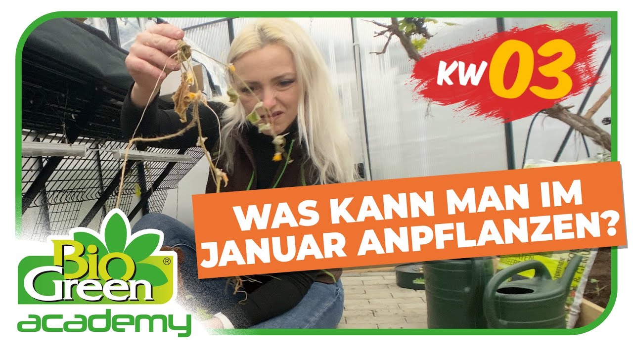 Das könnt ihr im Januar anpflanzen – Der frühe Start ins Gartenjahr ...