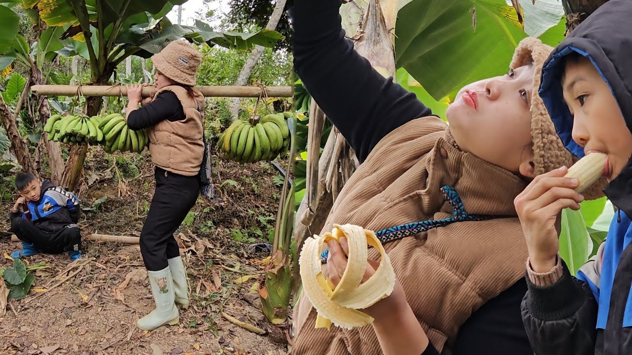From banana garden to chayote grove: A poor boy's journey to overcome ...