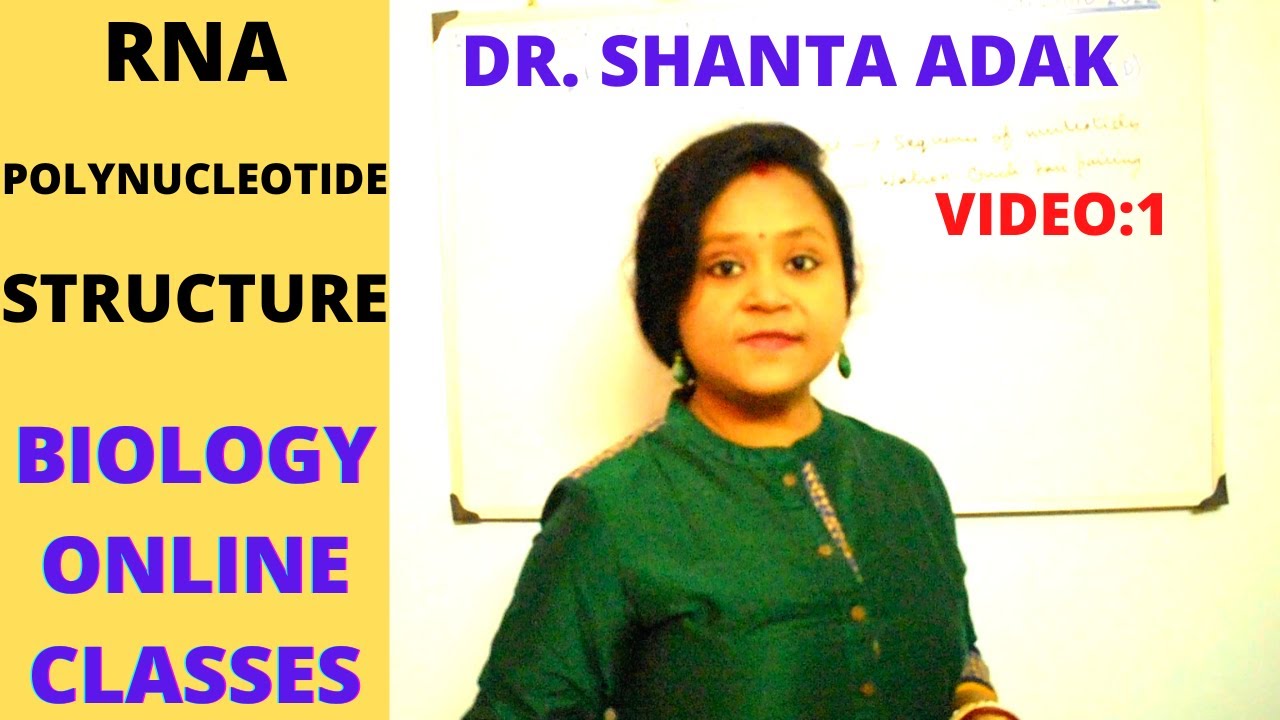 RNA: POLYNUCLEOTIDE STRUCTURE - YouTube