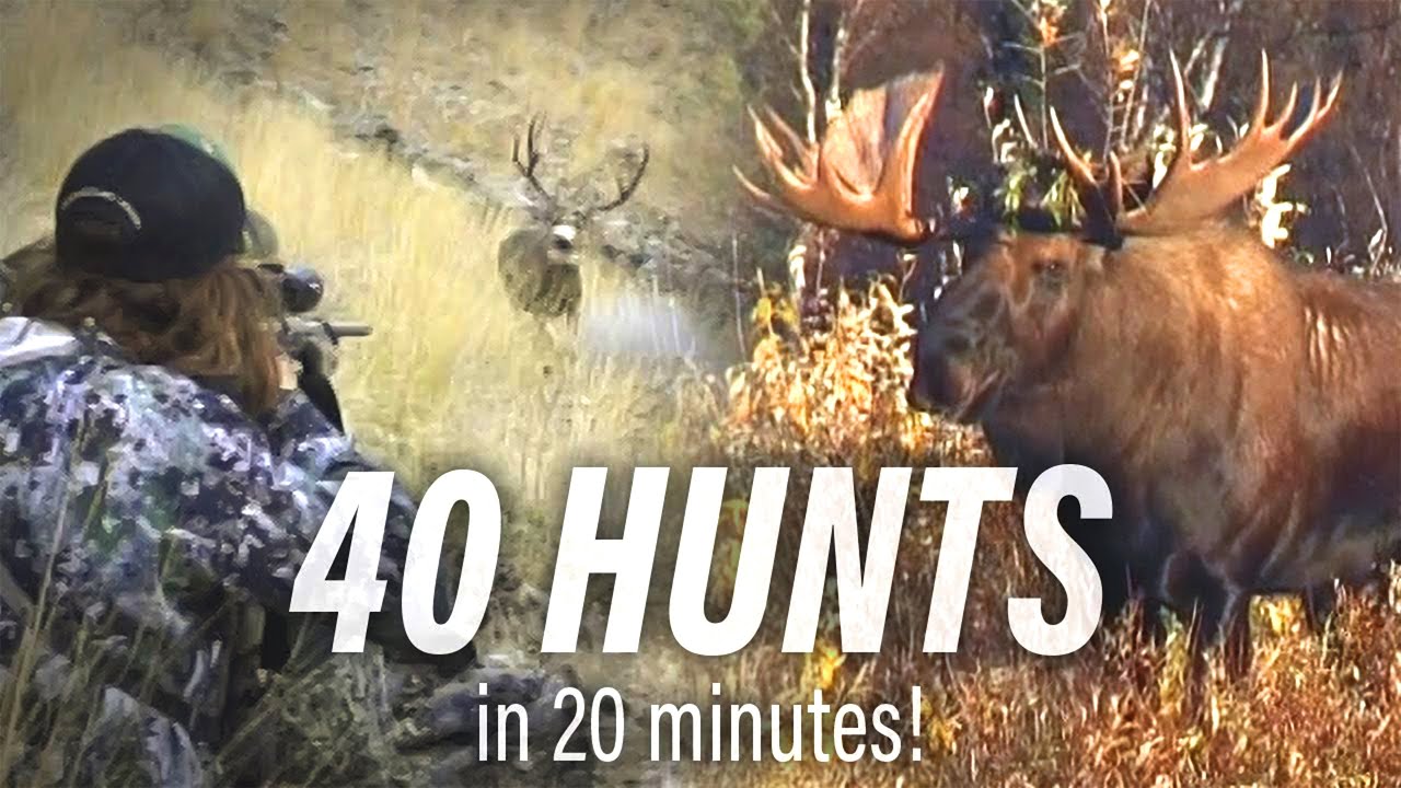 40 Shots in 20 minutes from a Rifle at Wild Animals | Hunting | # ...