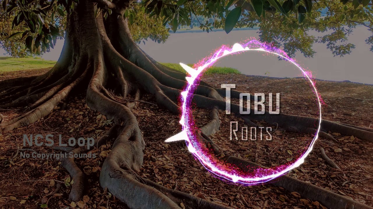 Tobu - Roots (NCS) ♫♫♫ - YouTube Music