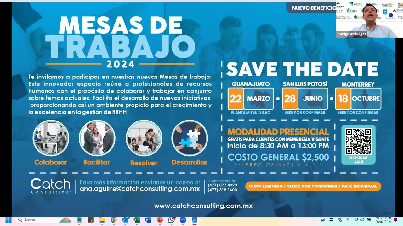 CATCH CONSULTING