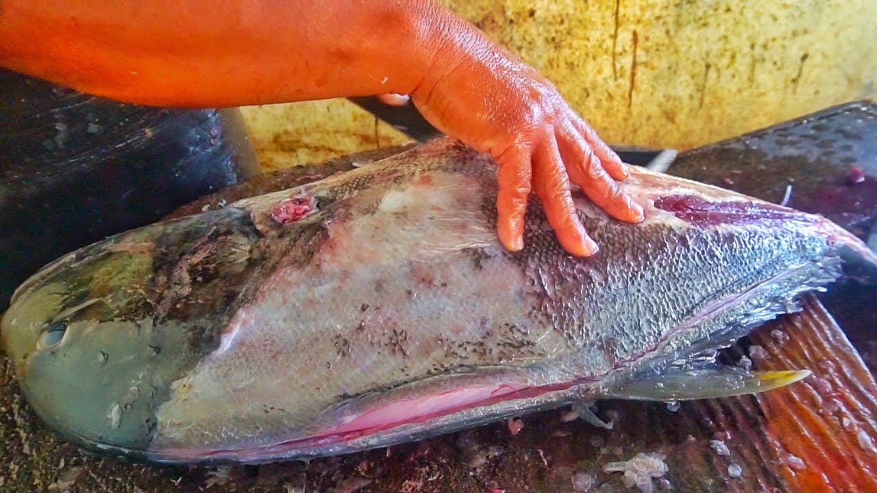 NICE CUTTING SKILLS || AMAZING KNIFE SKILLS || FISH CUTTING IS SO ...