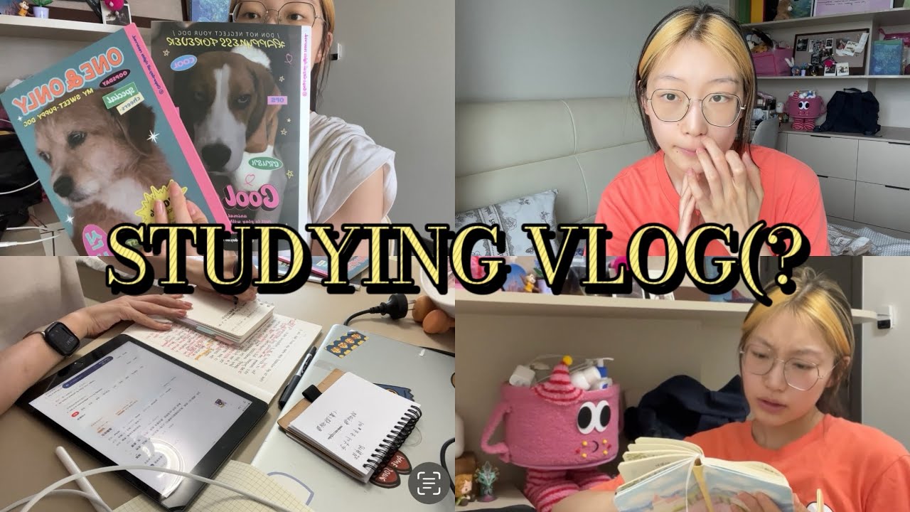 My studying vlog (maybe - YouTube