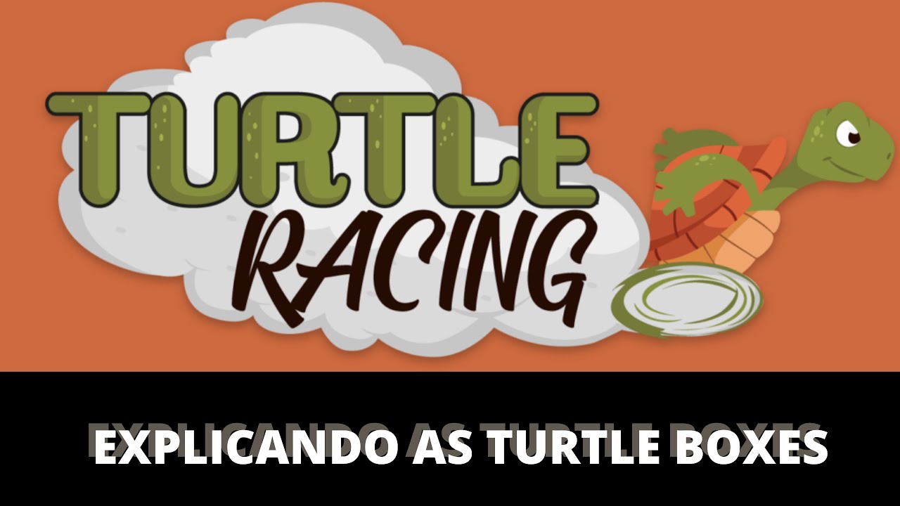 Tutle Racing. Explicando as Turtle Boxes!!! - YouTube