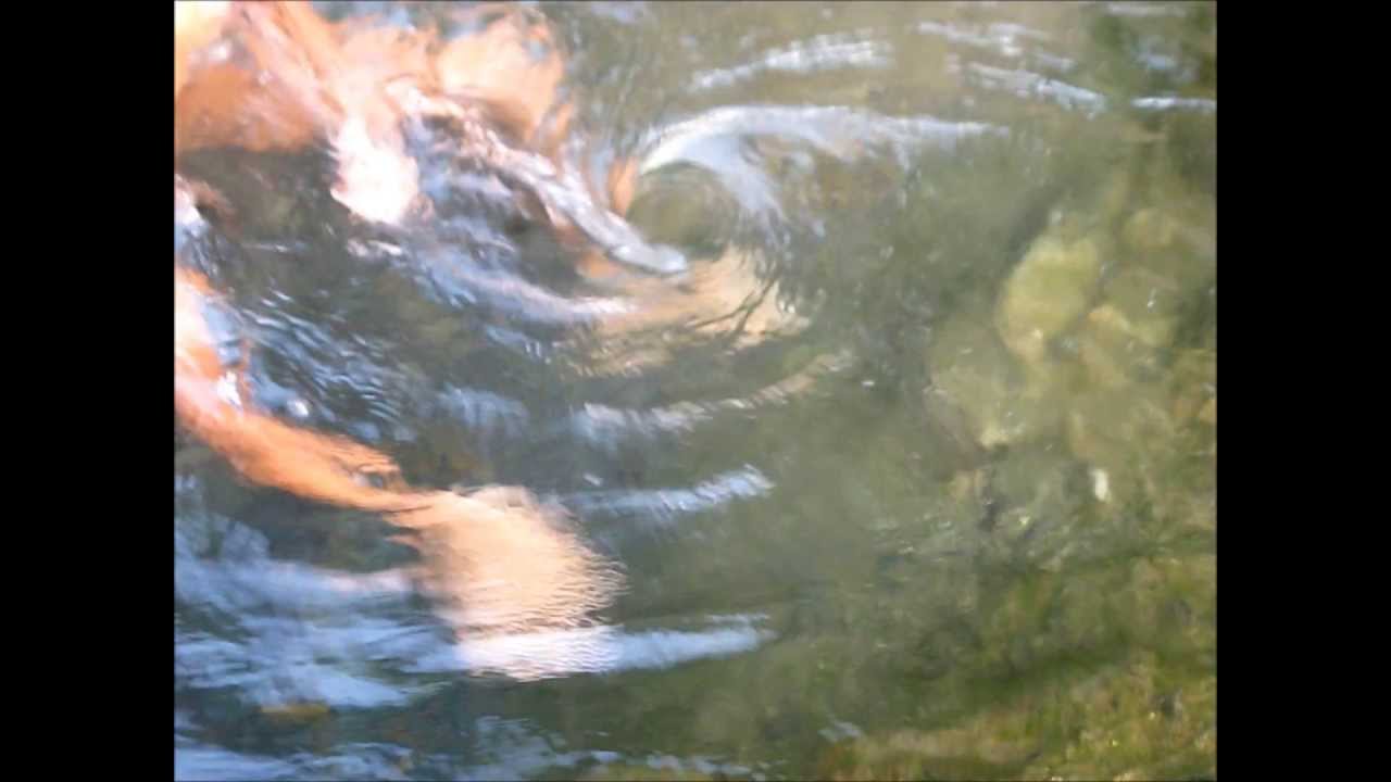 AWESOME Handmade Whirpool - YouTube