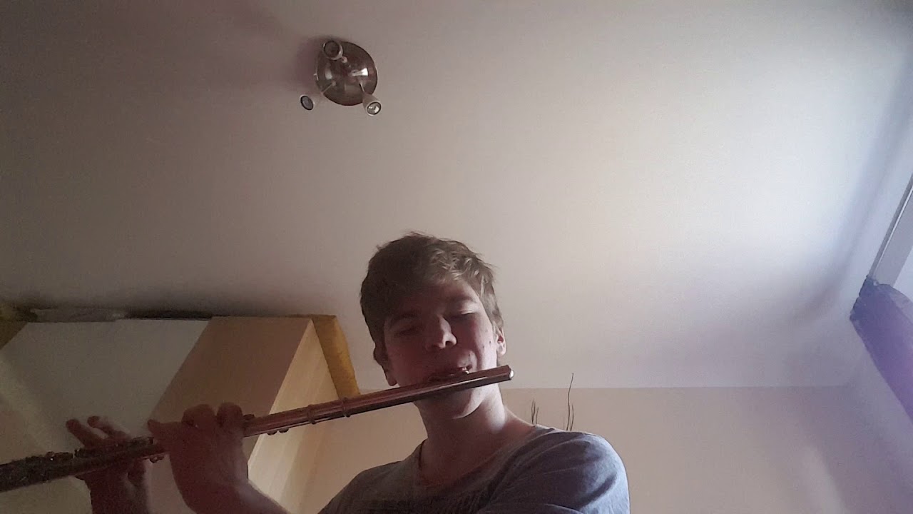 "I. Latin" Daniel Hellbach (Flute Cover) Filip Oskar - YouTube