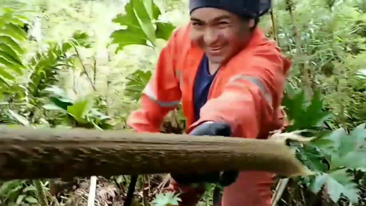 Nalcas ,como se recolectan .. - YouTube