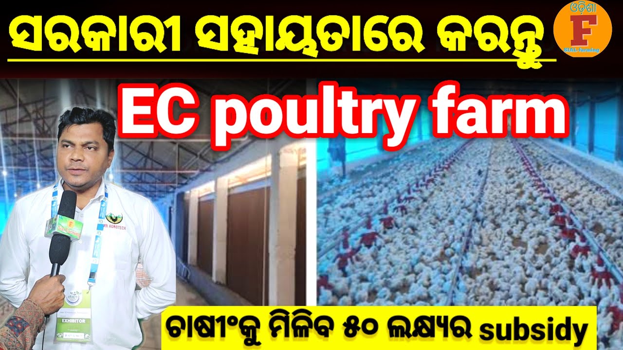 EC ଫାର୍ମ କଲେ ମିଳିବ 50 ଲକ୍ଷ୍ୟର subsidy//To make EC poultry farm By ...