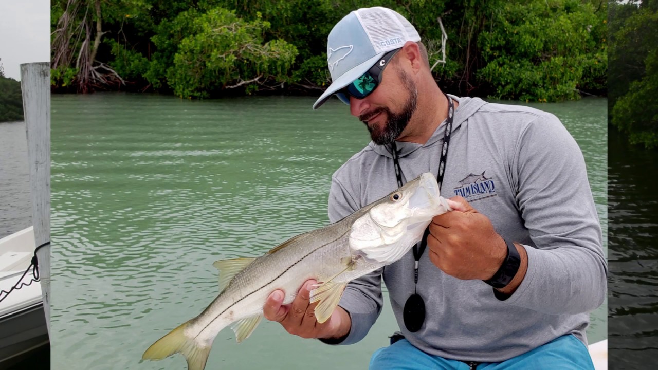 Mike Slattery, Palm Island Outfitters, on Florida Fishing & Red Tide ...